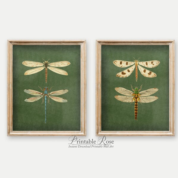 Dragonfly Art Print - Etsy