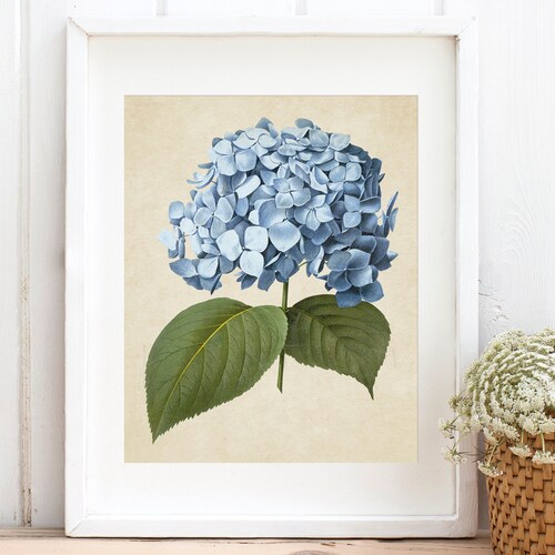 Hydrangea Print Printable Digital Download Hydrangea - Etsy