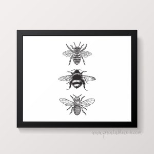 Bee Print Farmhouse Decor Wall Art Printable Bathroom Wall | Etsy