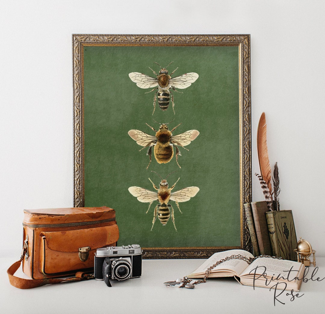 Bee Wall Art Olive Green and Gold Art Bee Printable Wall - Etsy