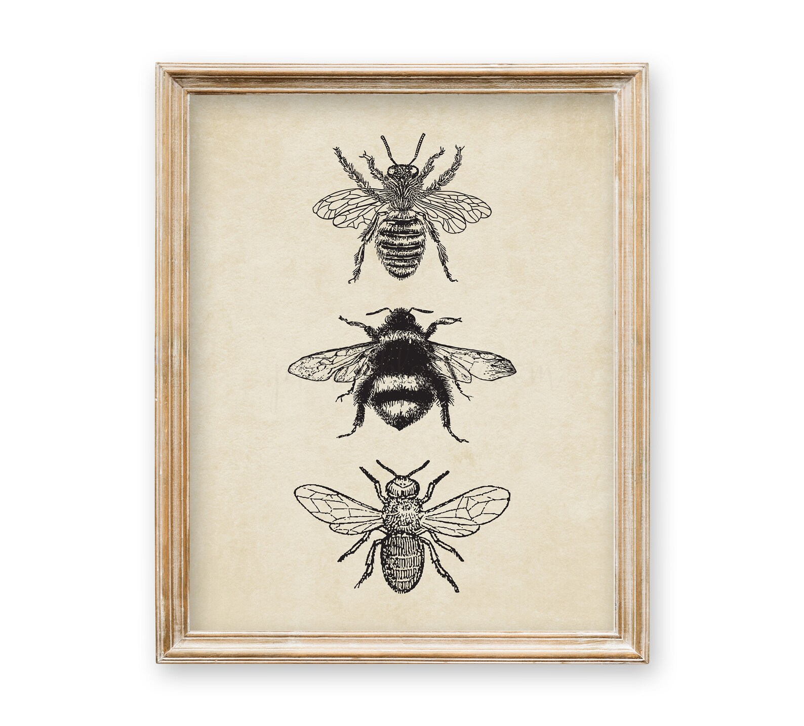 Bee Decor Printable Bee Decorations Bee Print Bee Wall | Etsy
