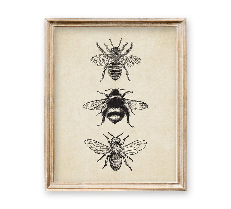 Bee Decor Printable Bee Decorations Bee Print Bee Wall | Etsy