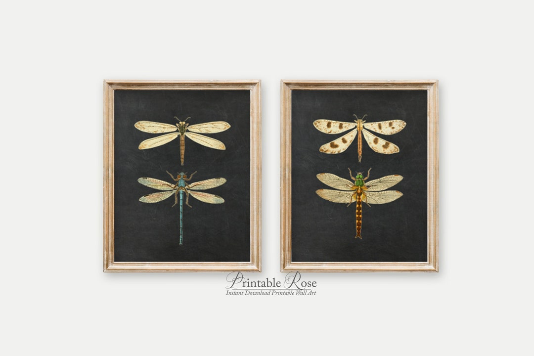 Set of 2 Printables, Wall Decor, Dragonfly Art Print, Insect Wall Decor ...