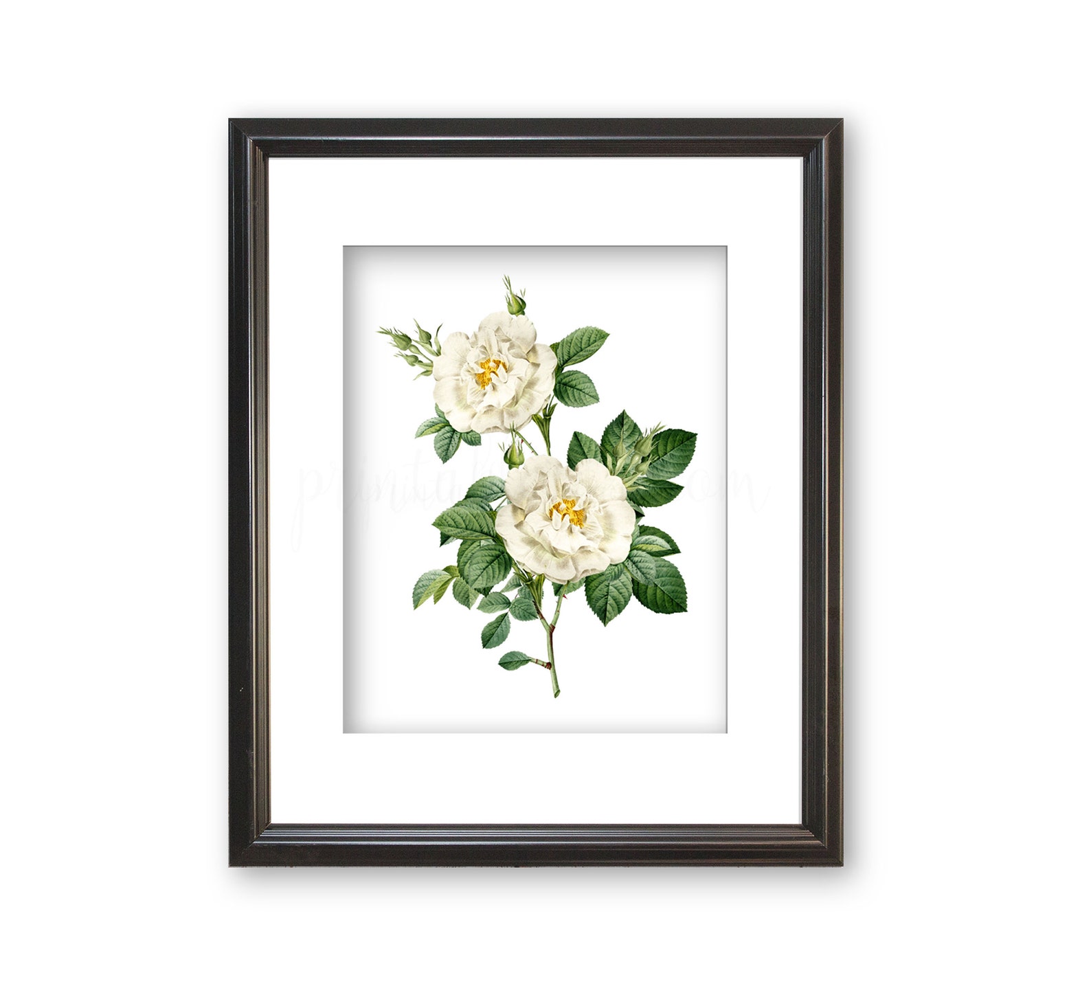 White Rose Printable Vintage Rose Art Print Home Decor Wall - Etsy