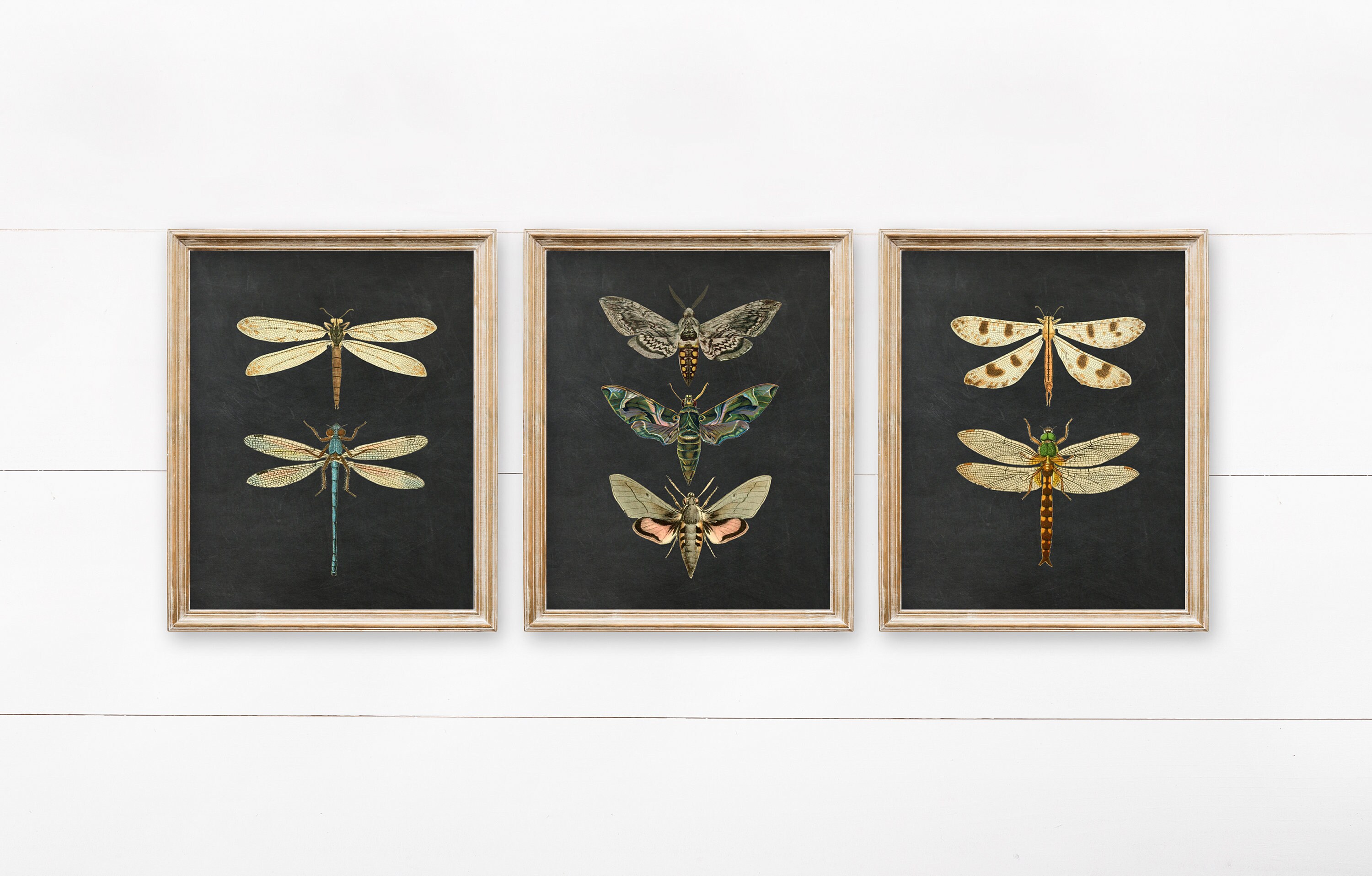 Set of 3 Wall Art Set of 3 Wall Prints Wall Decor Wall - Etsy