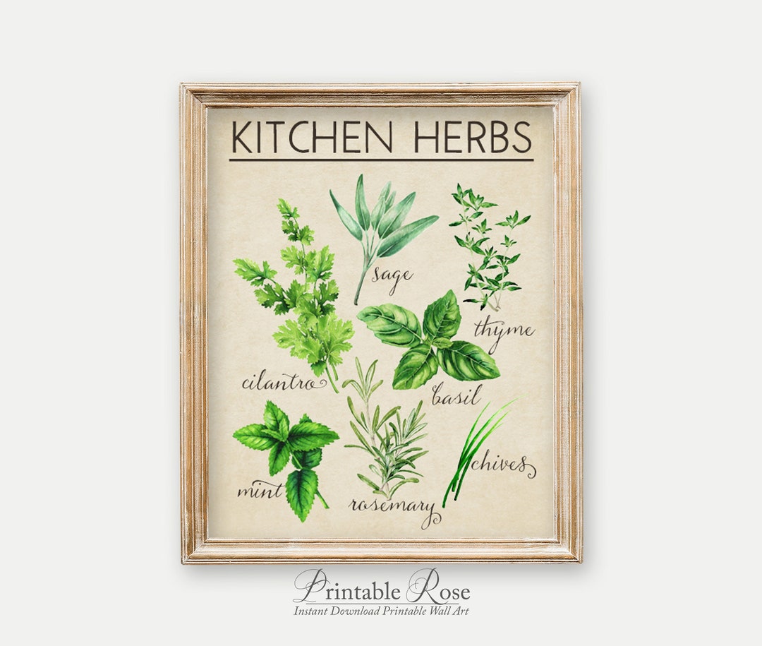 Herb Art Print Wall Decor Kitchen Herb Printable Decor for - Etsy
