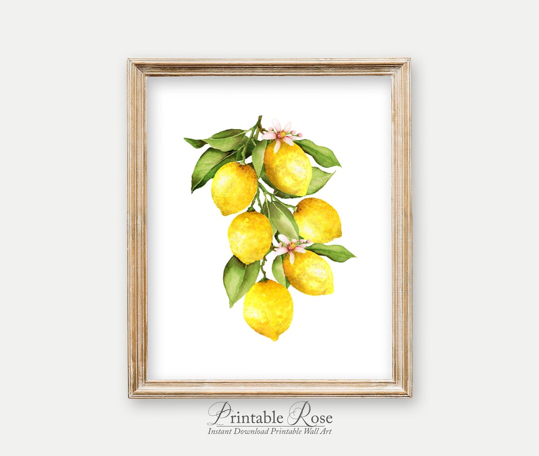 Lemon Decor, Lemon Printable, Lemon Print, Lemon Print Picture, Lemon ...