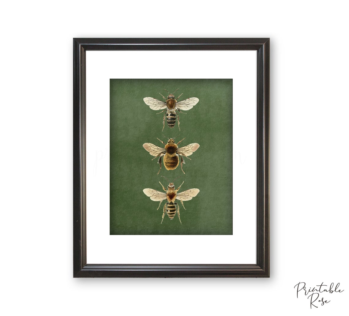 Bee Wall Art Olive Green and Gold Art Bee Printable Wall - Etsy