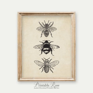 Bee Decor, Printable, Bee Decorations, Bee Print, Bee Wall Art, Bee ...