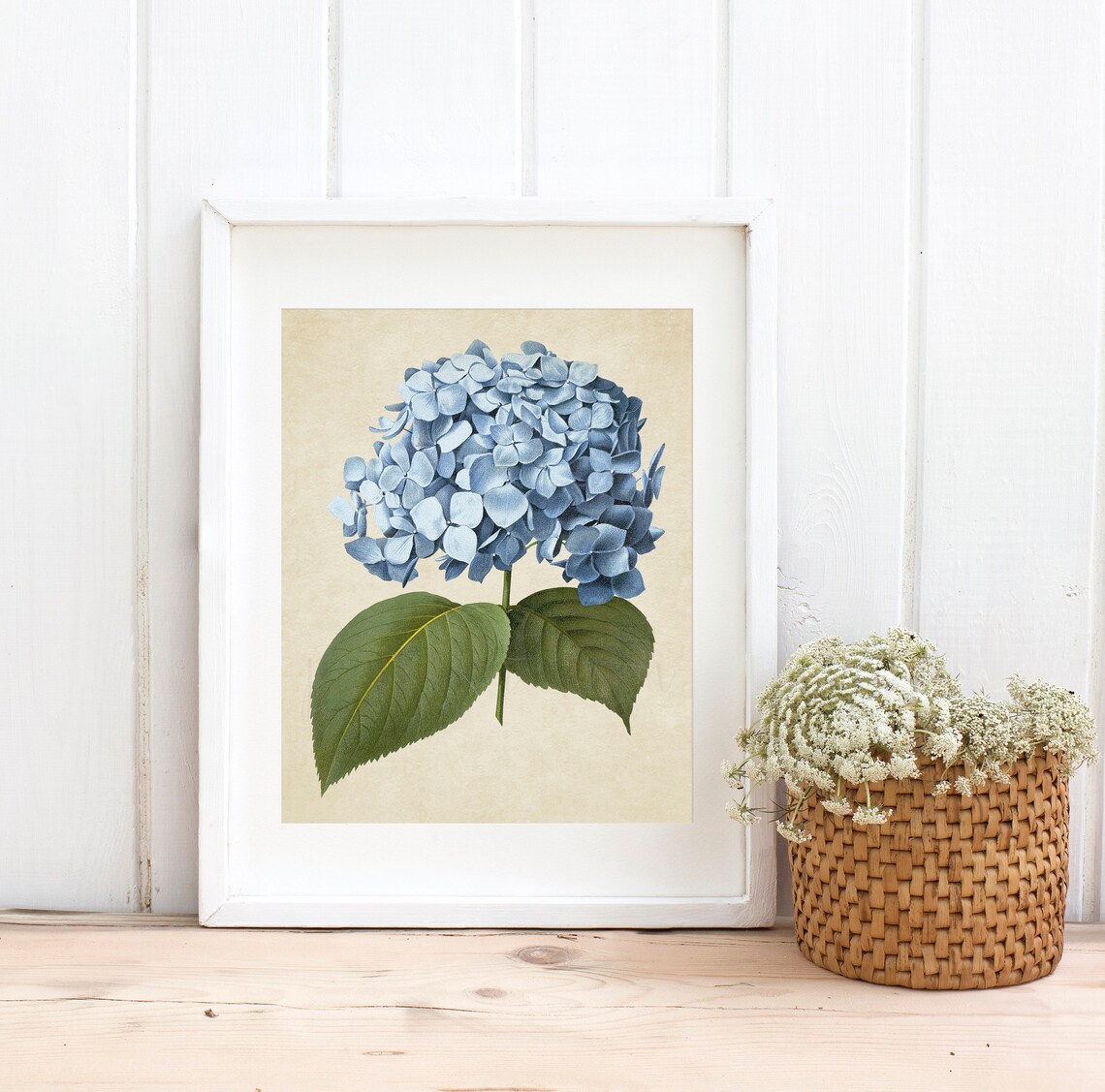 Hydrangea Print Printable Digital Download Hydrangea - Etsy