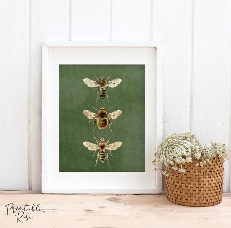 Bee Wall Art Olive Green and Gold Art Bee Printable Wall - Etsy