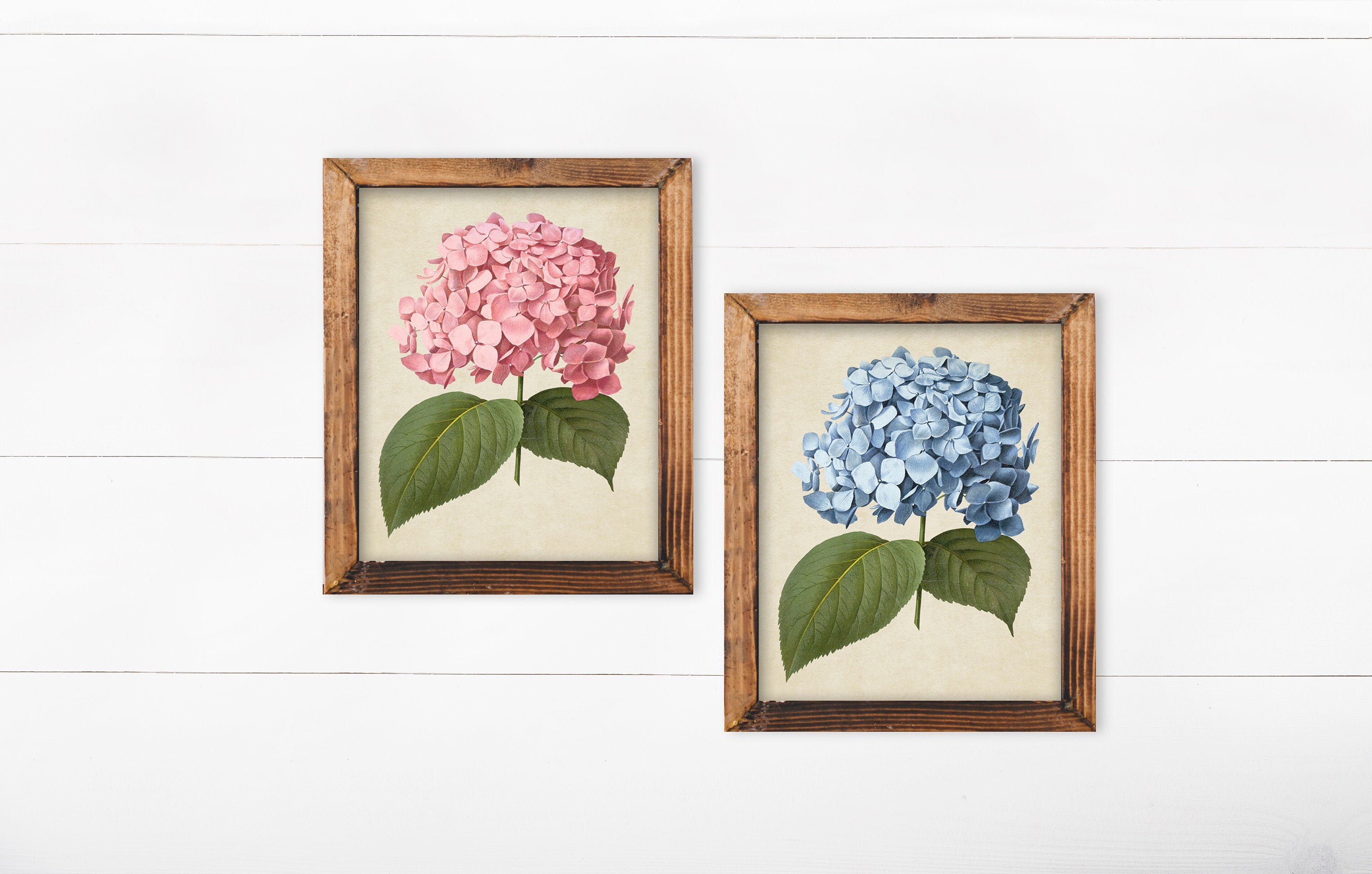 Hydrangea Wall Decor Flower Printables Set of 2 Prints Set - Etsy