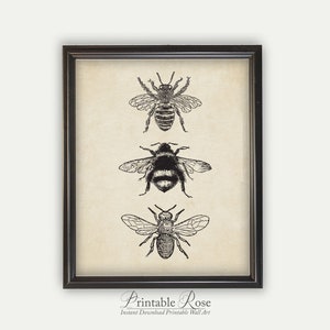 Bee Decor, Printable, Bee Decorations, Bee Print, Bee Wall Art, Bee ...