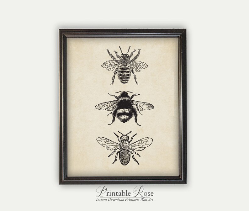 Bee Decor Printable Bee Decorations Bee Print Bee Wall - Etsy