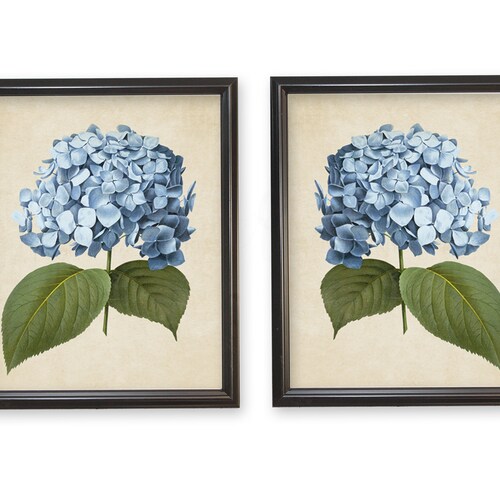 Vintage Hydrangea Prints Printables Set of 2 Prints Set of - Etsy