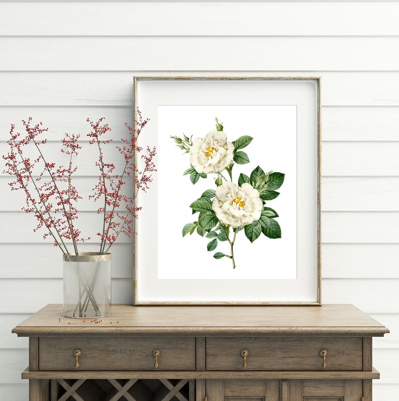 White Rose Printable Vintage Rose Art Print Home Decor Wall - Etsy