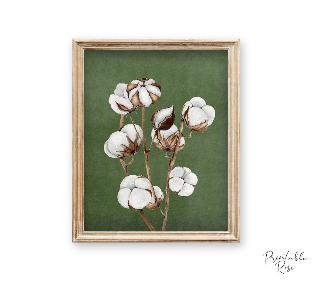 Cotton Decor, Cotton Wall Art, Farmhouse Wall Decor, Gallery Wall Decor ...