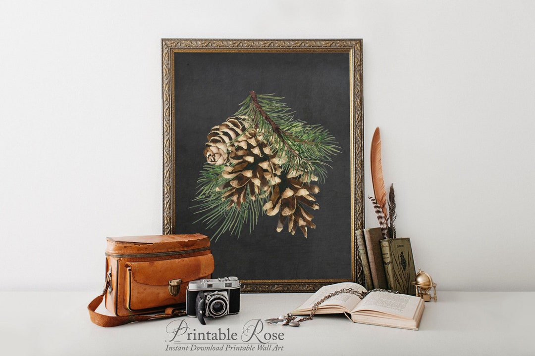Pine Cone Wall Decor, Pine Cone Printable, Pinecone Decor, Gallery Wall Art, Pine Cone Decor ...