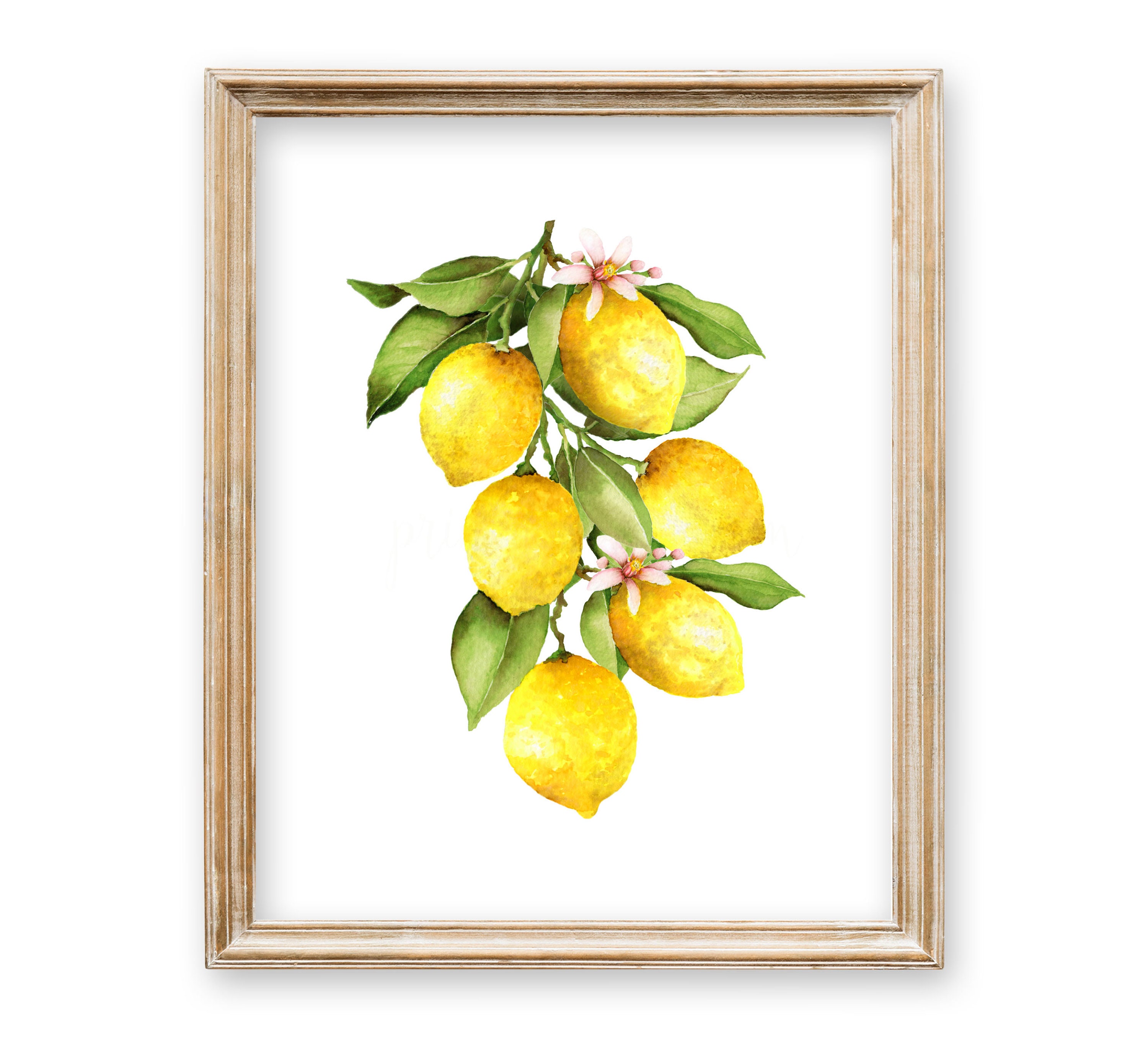Lemon Decor Lemon Printable Lemon Print Lemon Print | Etsy