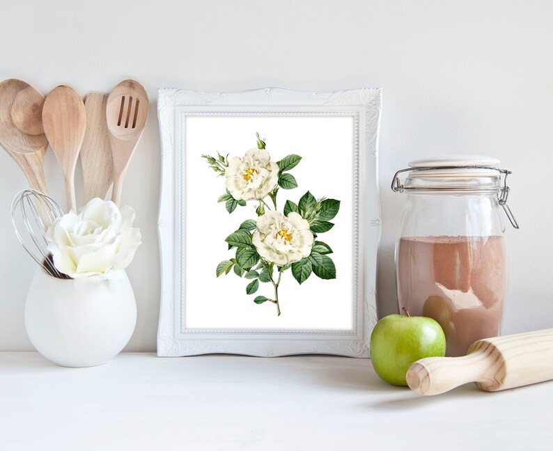 White Rose Printable Vintage Rose Art Print Home Decor Wall - Etsy