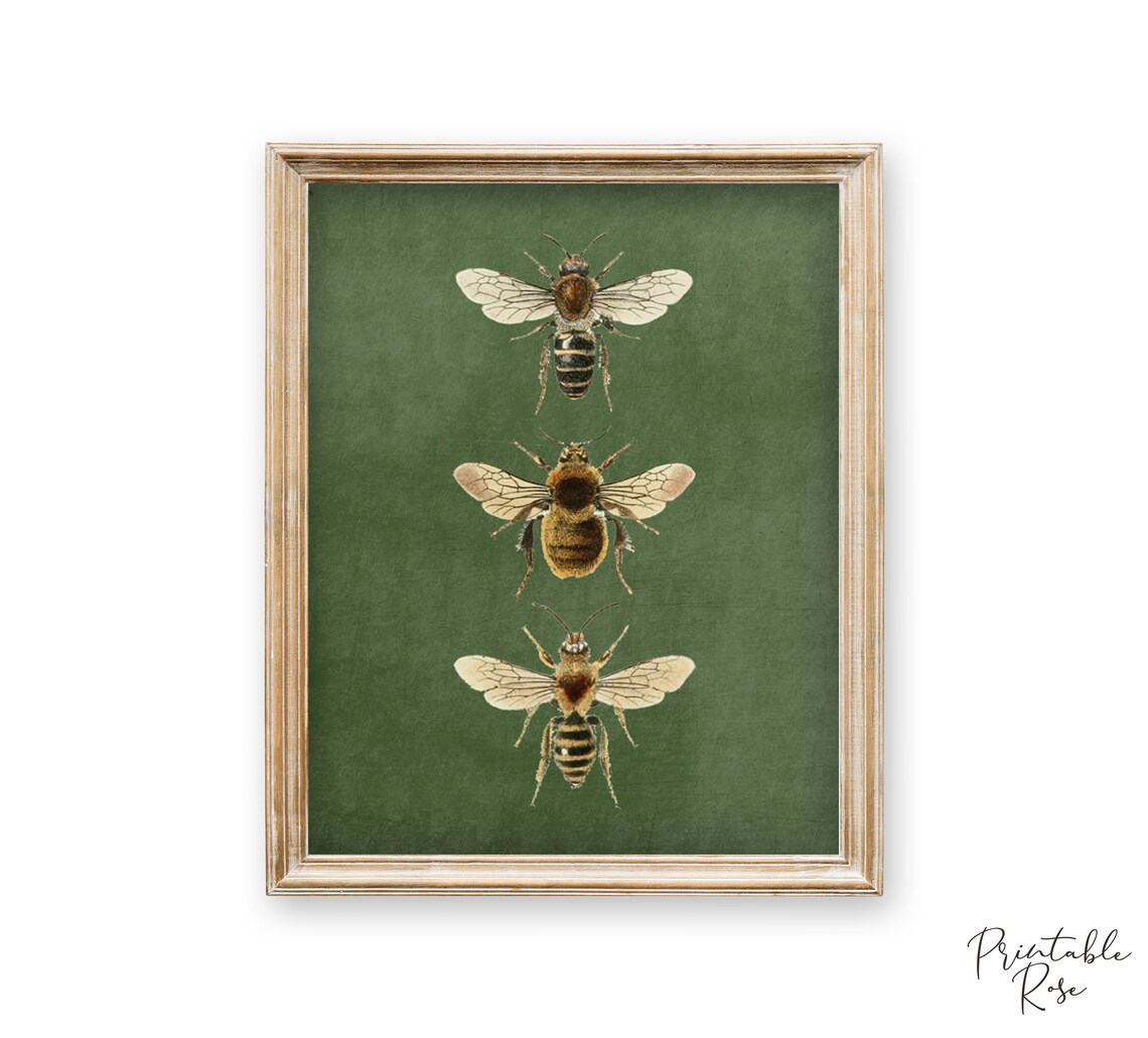 Bee Wall Art Olive Green and Gold Art Bee Printable Wall - Etsy