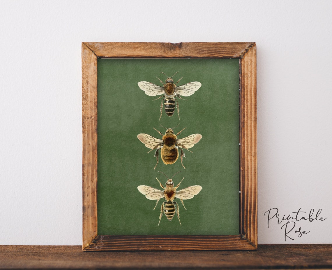 Bee Wall Art Olive Green and Gold Art Bee Printable Wall - Etsy