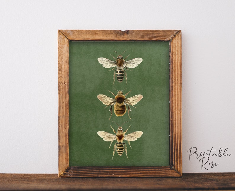 Bee Wall Art Olive Green and Gold Art Bee Printable Wall - Etsy