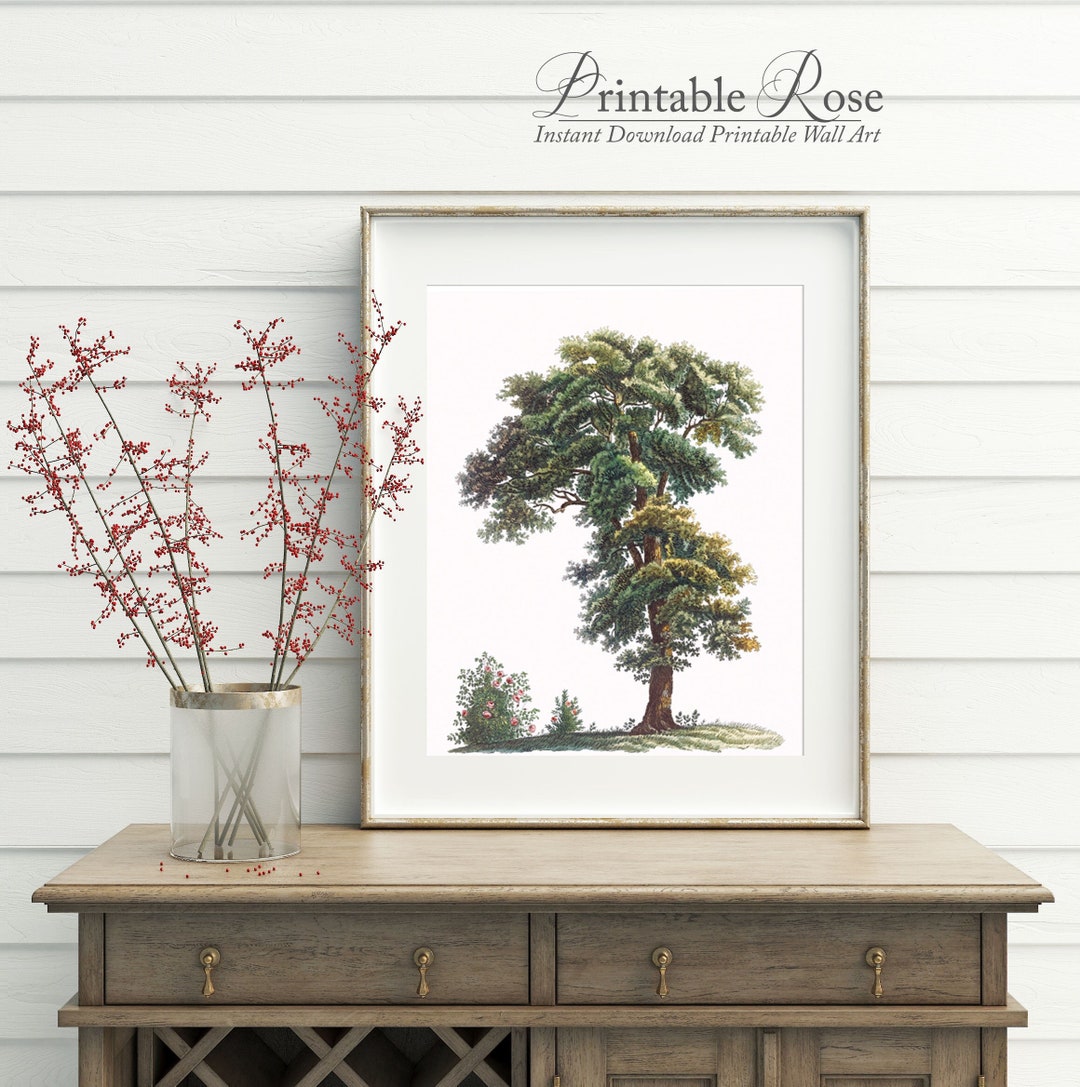Vintage Decor Home Tree Wall Art Printable Tree Art Print - Etsy