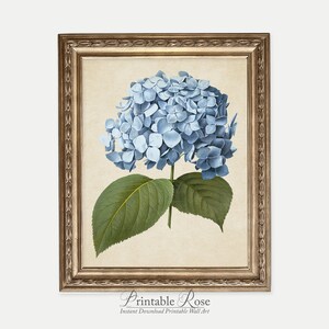 Vintage Hydrangea Prints Printables Set of 2 Prints Set of - Etsy