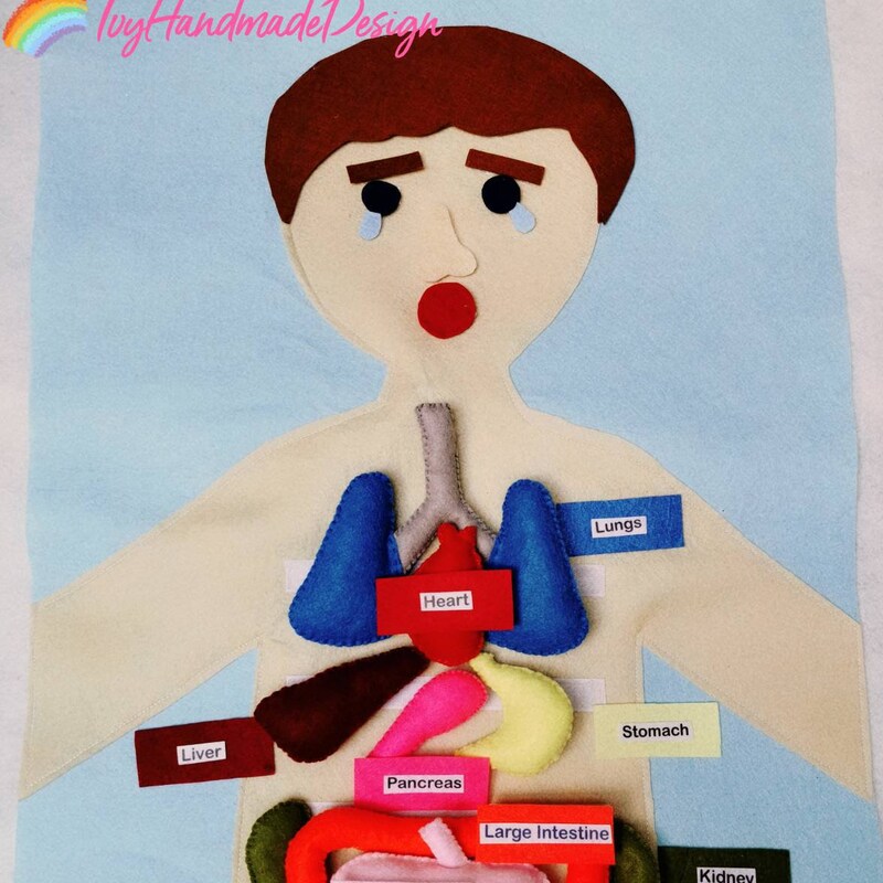 Human Body Felt - Etsy