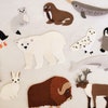 Baby Beluga/arctic Animal Felt Story/preschool Flannel Board Winter ...