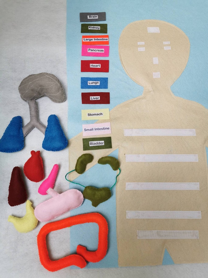 Anatomy Body Felt Play Mat/feeling Face/emotion/organ | Etsy