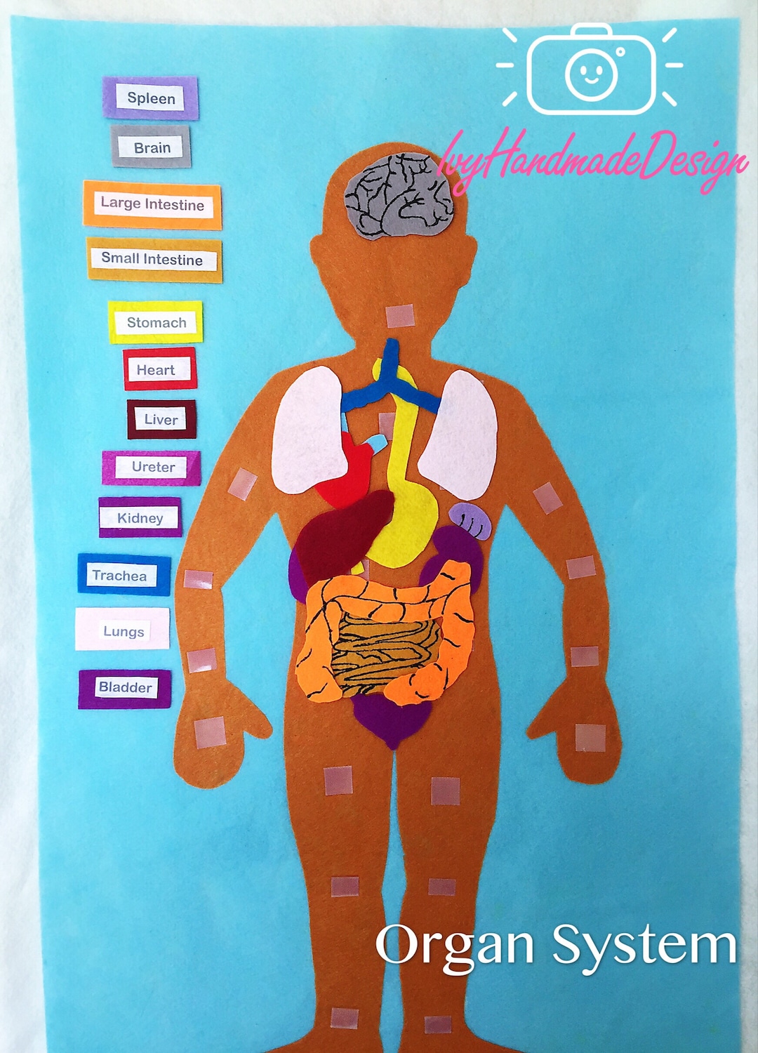 Anatomy/skeleton/organ Felt With Labels/flannel Board/my Body/science ...