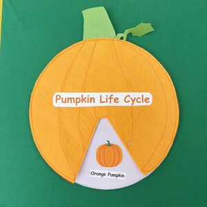 Life Cycle of Apple Felt Set/pumpkin Life Cycle Flannel Board/cognitive ...