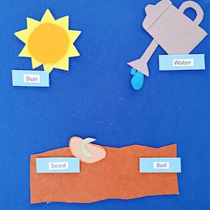 Parts of Flowers Felt Story/out in Garden Flannel Board/spring/plant ...