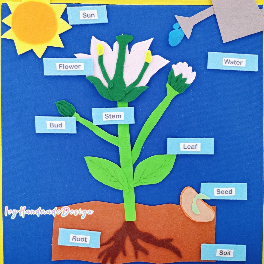 Parts of Flowers Felt Story/out in Garden Flannel Board/spring/plant ...