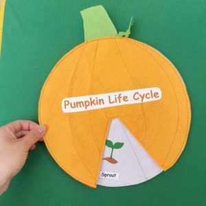 Life Cycle of Apple Felt Set/pumpkin Life Cycle Flannel Board/cognitive ...