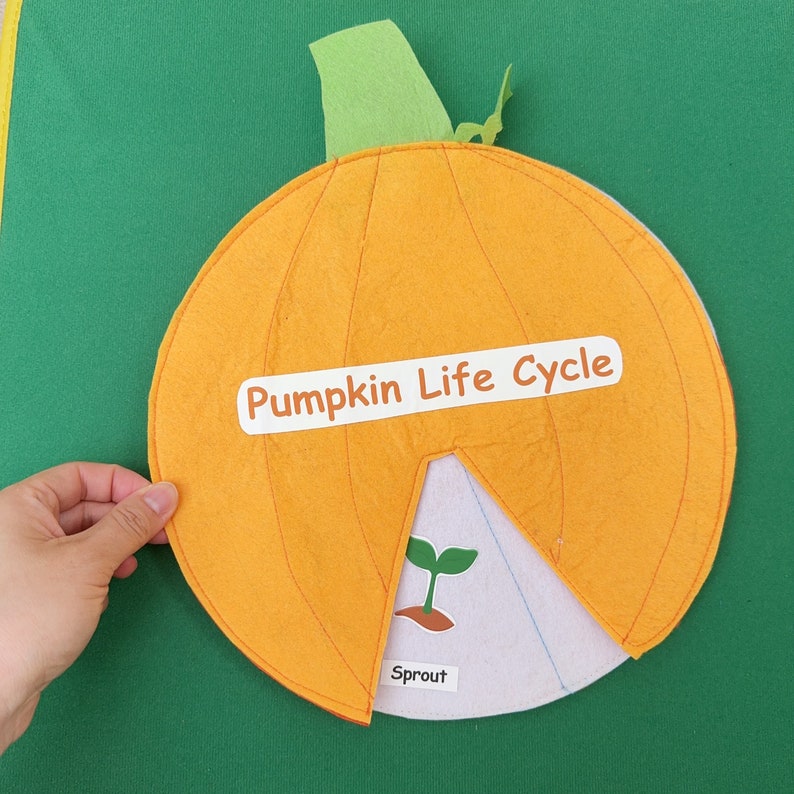 Life Cycle of Apple Felt Set/pumpkin Life Cycle Flannel Board/cognitive ...