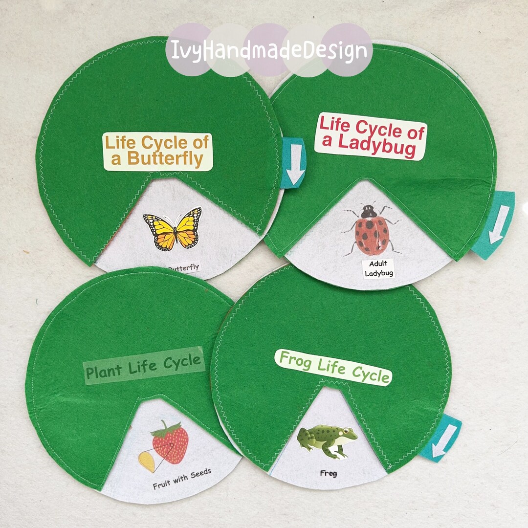 Life Cycle of Frog Felt Wheel Circle/chicken/ladybug/butterfly Life ...