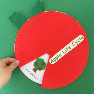 Life Cycle of Apple Felt Set/pumpkin Life Cycle Flannel Board/cognitive ...