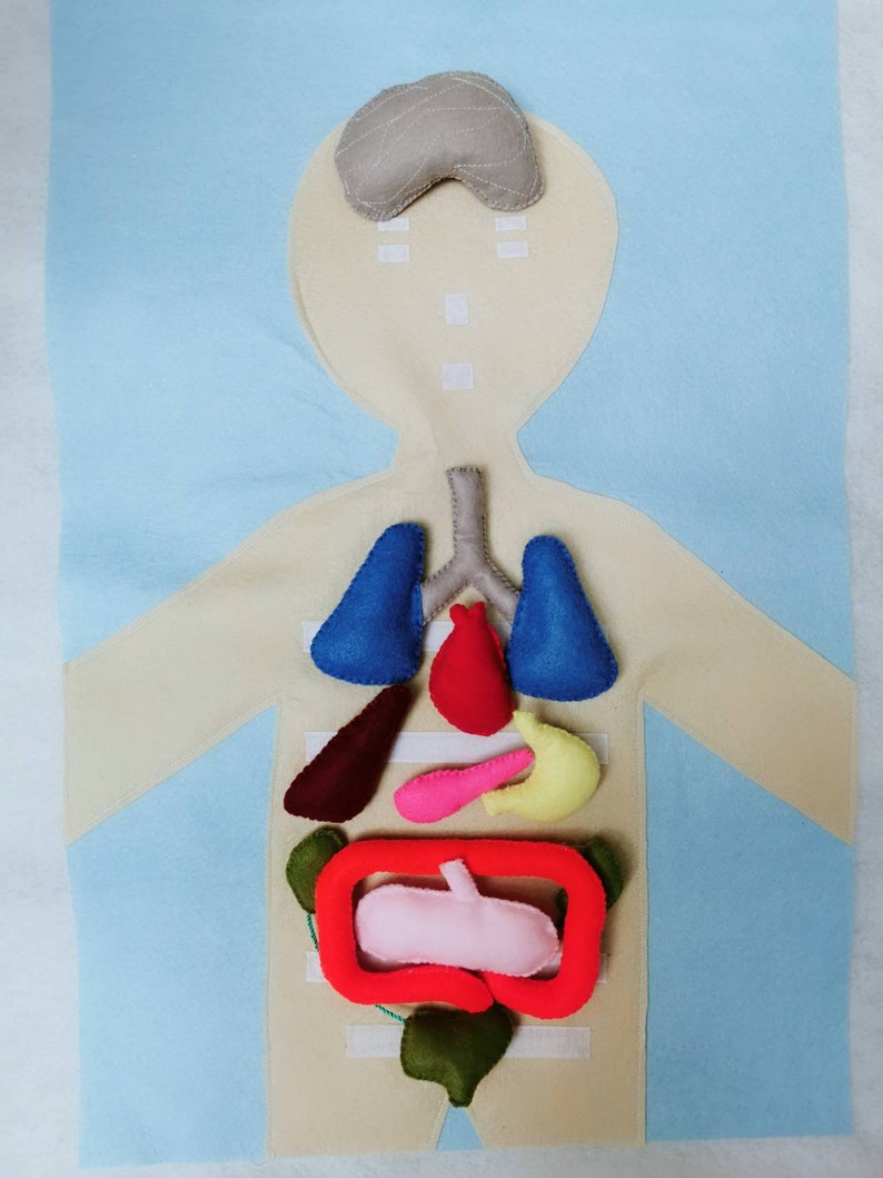 Anatomy Body Felt Play Mat/feeling Face/emotion/organ | Etsy