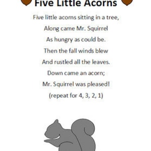 5 Little Acorns Felt Board Felt Set/squirrel Fall Autumn Theme Story ...