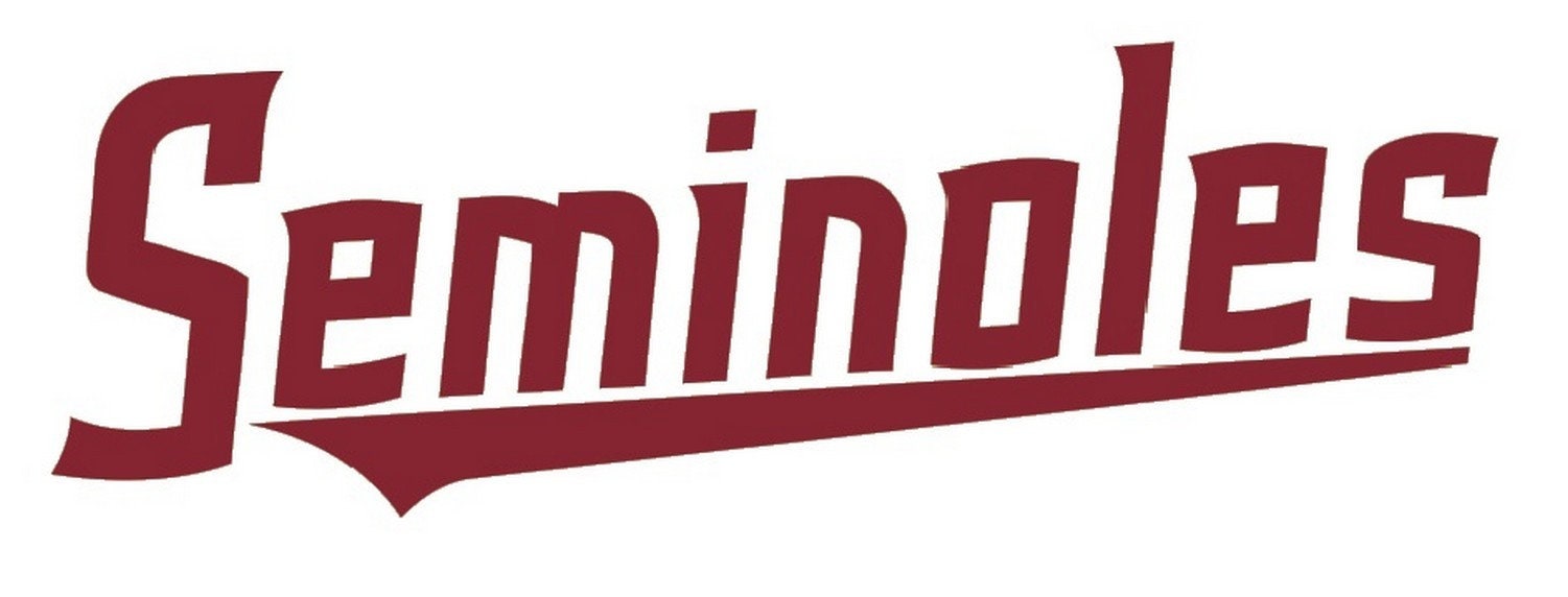 Florida State Seminoles 6 Vinyl Decal Sticker Choose Logo and Color FSU ...