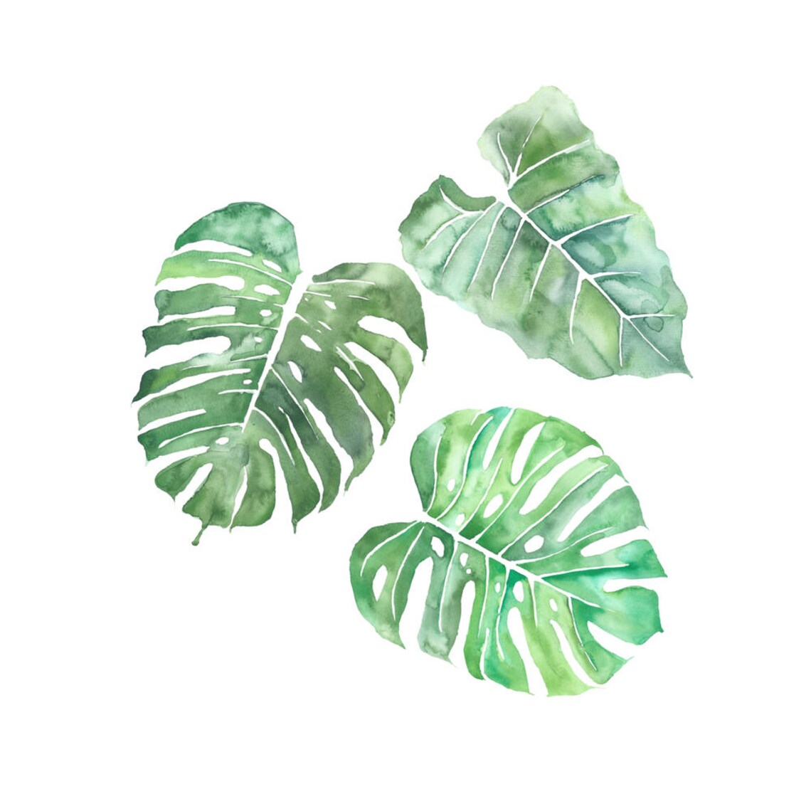 NEW Tropical Leaves Watercolor Clip Art Digital Graphics 600dpi Png ...