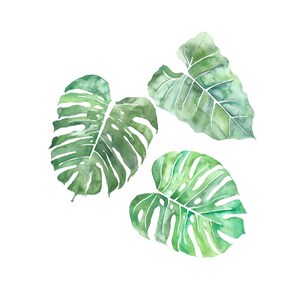 NEW Tropical Leaves Watercolor Clip Art Digital Graphics 600dpi Png ...