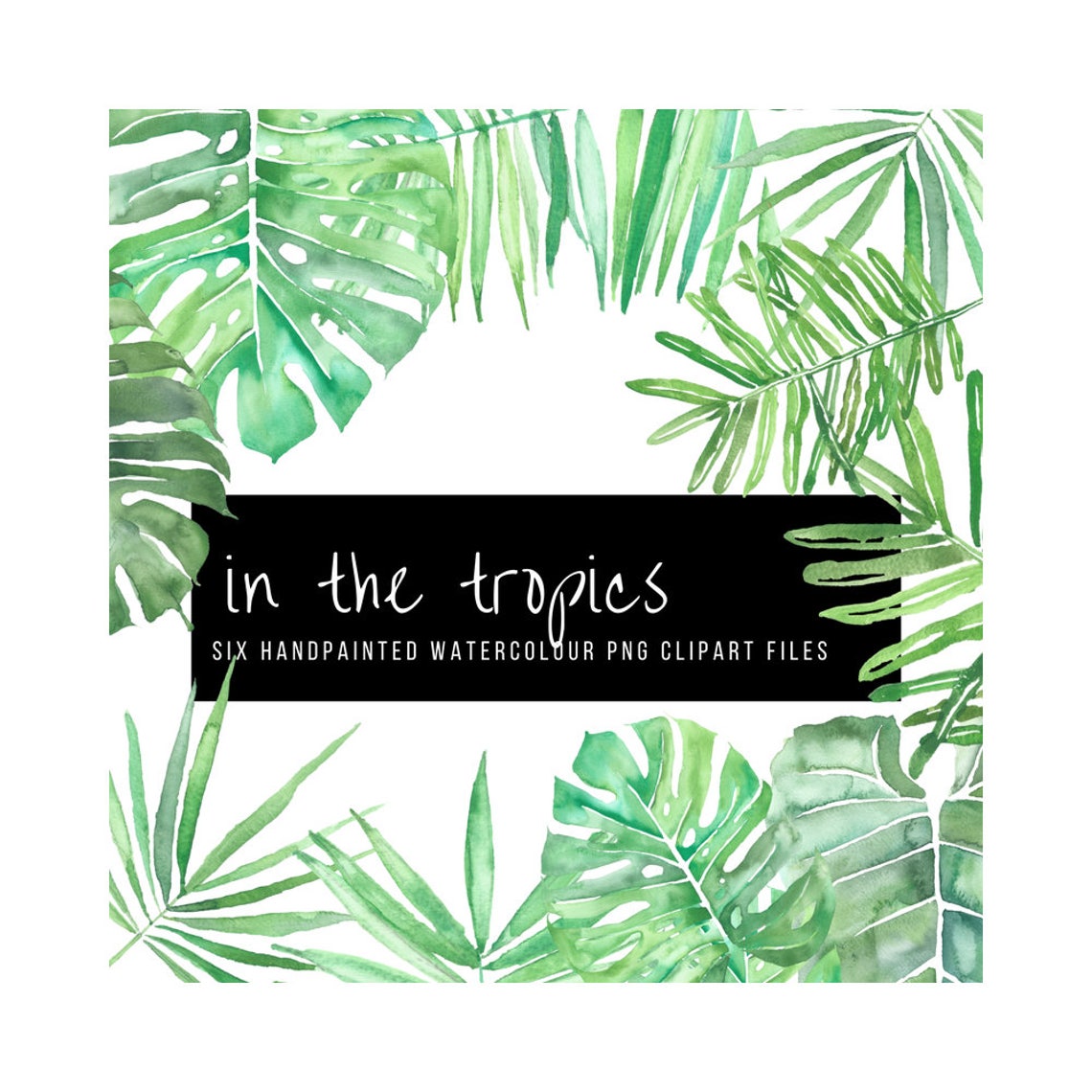 NEW Tropical Leaves Watercolor Clip Art Digital Graphics 600dpi Png ...