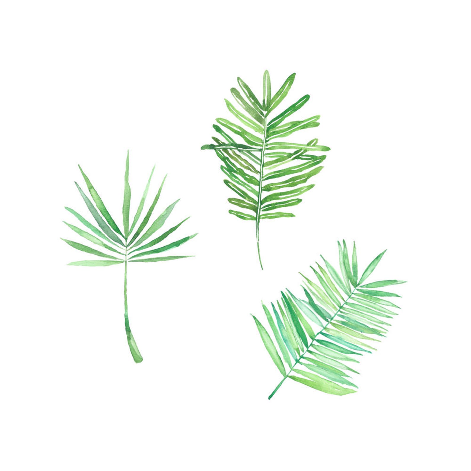 NEW Tropical Leaves Watercolor Clip Art Digital Graphics 600dpi Png ...