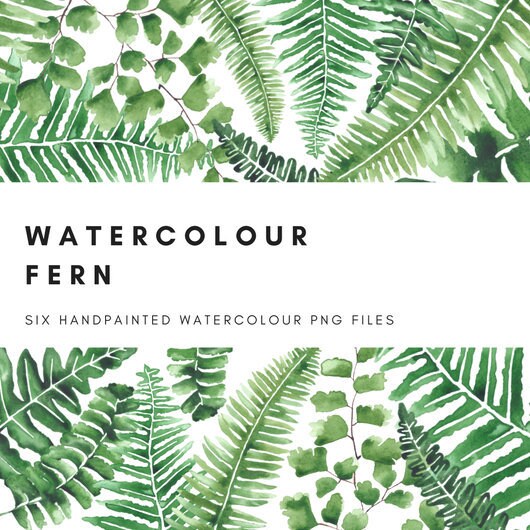 Fern Leaves Watercolor Clip Art Digital Graphics 600dpi Png Maidenhair ...