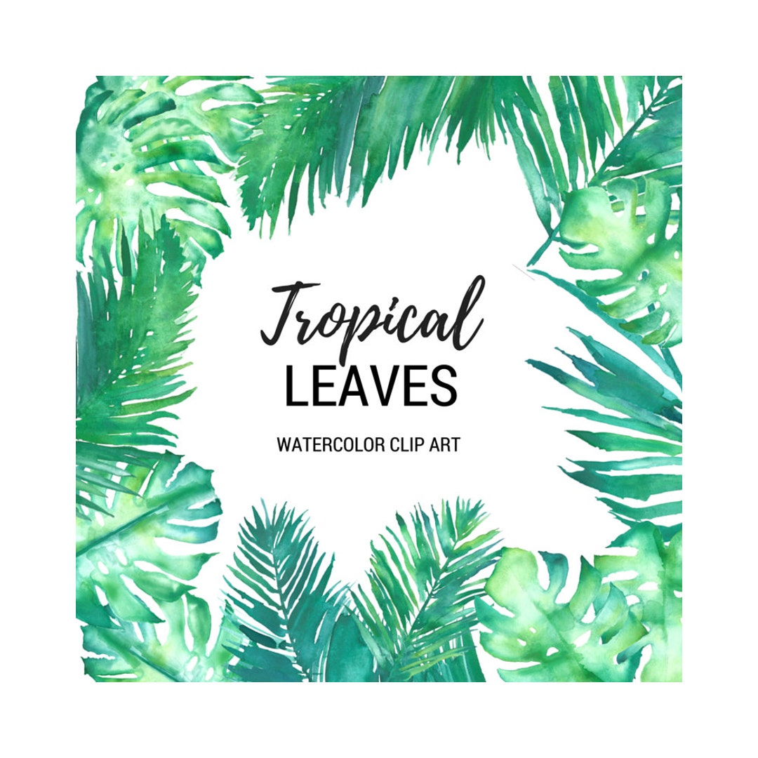 Tropical Leaves Watercolor Clip Art Digital Graphics 300dpi Png ...