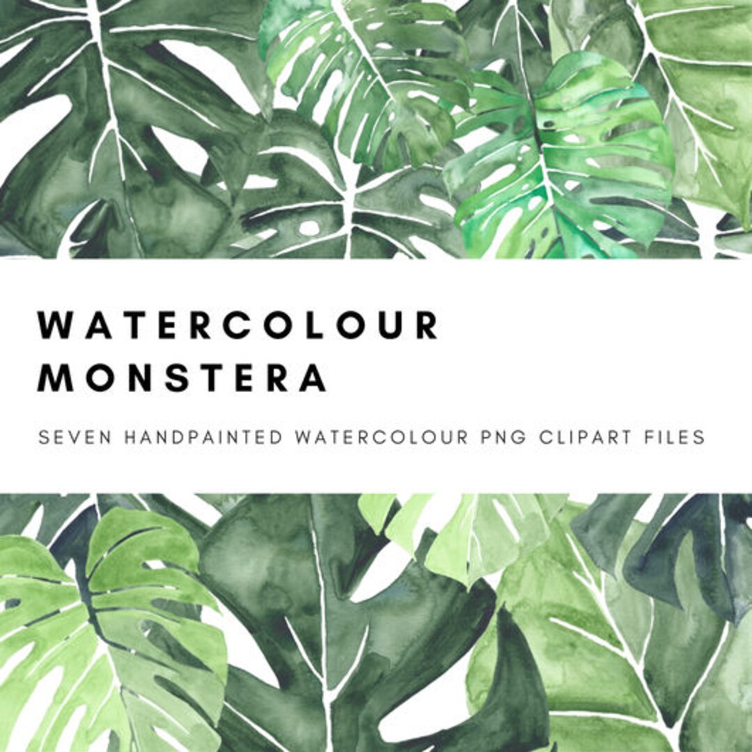 Monstera Leaves Watercolor Clip Art Digital Graphics 600dpi Png ...